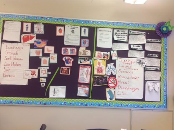Talking Inquiry - Learning Goals and Success Criteria - Madly Learning