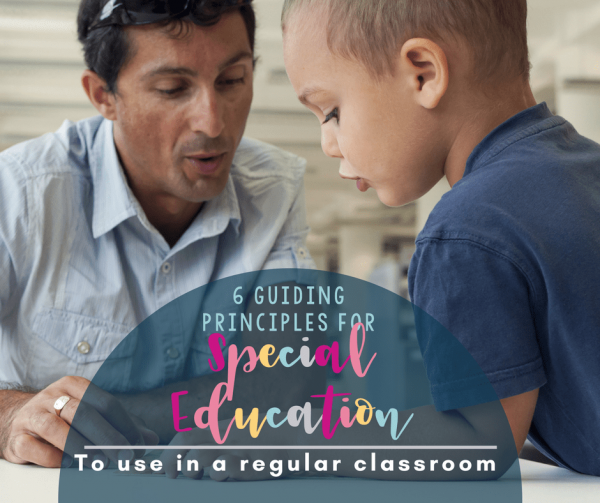 6 Guiding Principles for Working With Special Education Students in a ...
