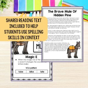Ignited Spelling Bundle: Spelling, Vocabulary & Morphology Ontario ...
