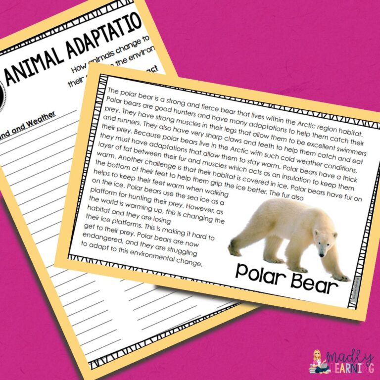 10 Fun & Engaging Winter Science Experiments for Your Classroom