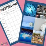 Using Wonder Walls for Effective Inquiry-Based Classroom Discussions