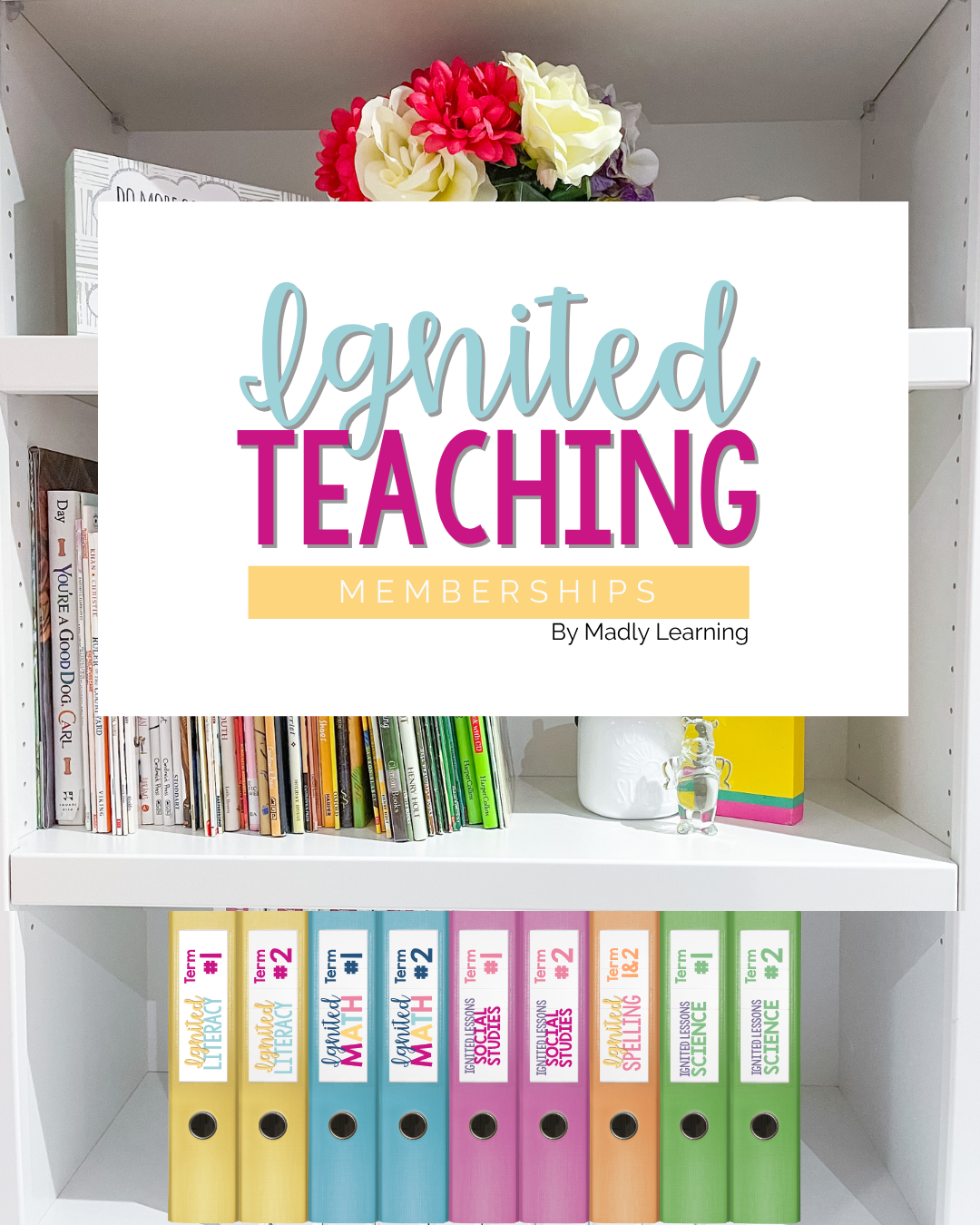 Ignited Teaching - Madly Learning